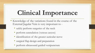 External Jugular Vein Cadaveric Research.pptx
