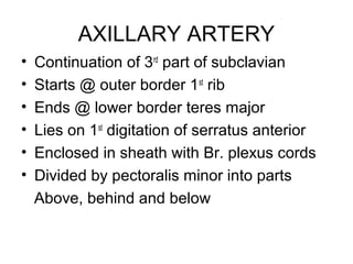 Anatomy shoulder | PPT