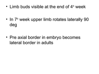 Anatomy shoulder | PPT