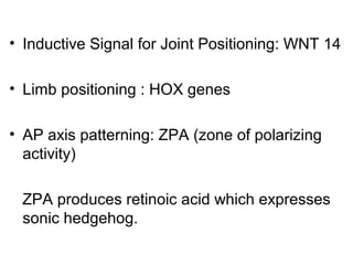 Anatomy shoulder | PPT