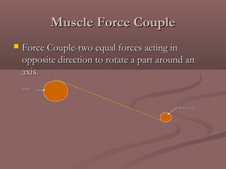 Anatomy shoulder | PPT