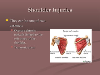 Anatomy shoulder | PPT