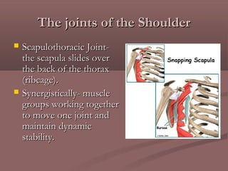 Anatomy shoulder | PPT