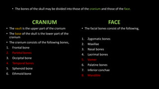 Anatomy skull anatomy dr.mohammed | PPTX