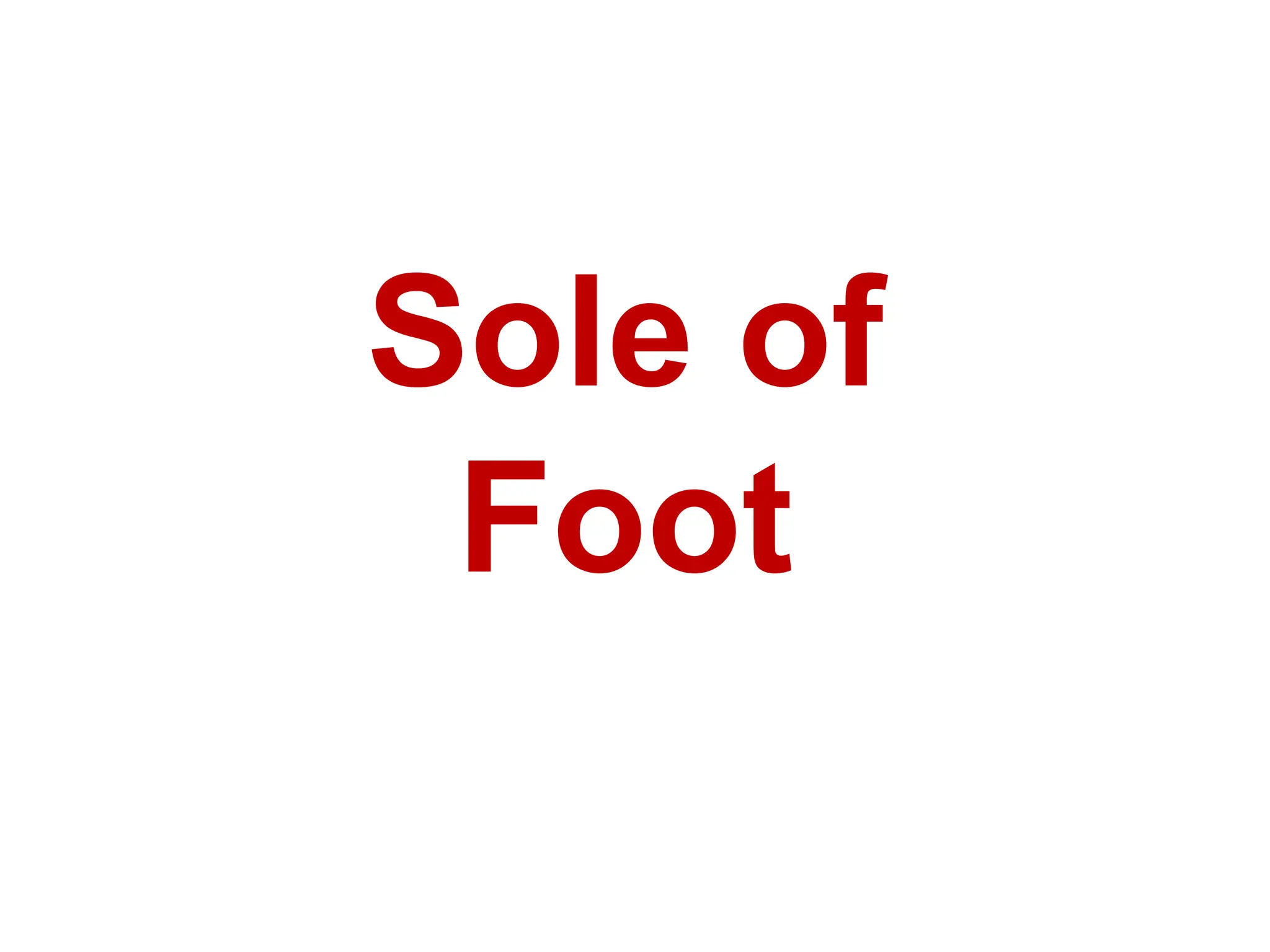 Anatomy_Sole of human body are important | PDF