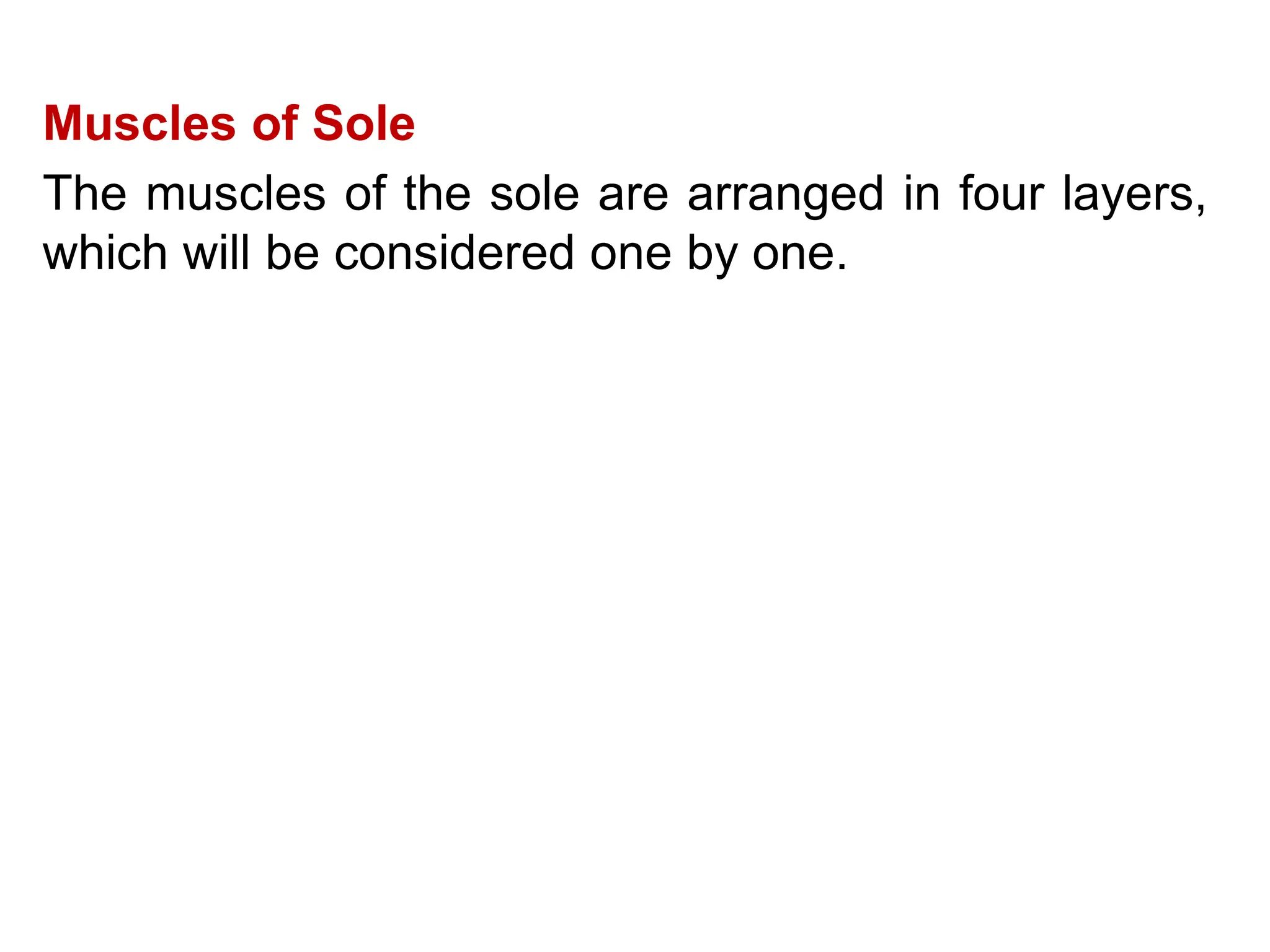 Anatomy_Sole of human body are important | PDF