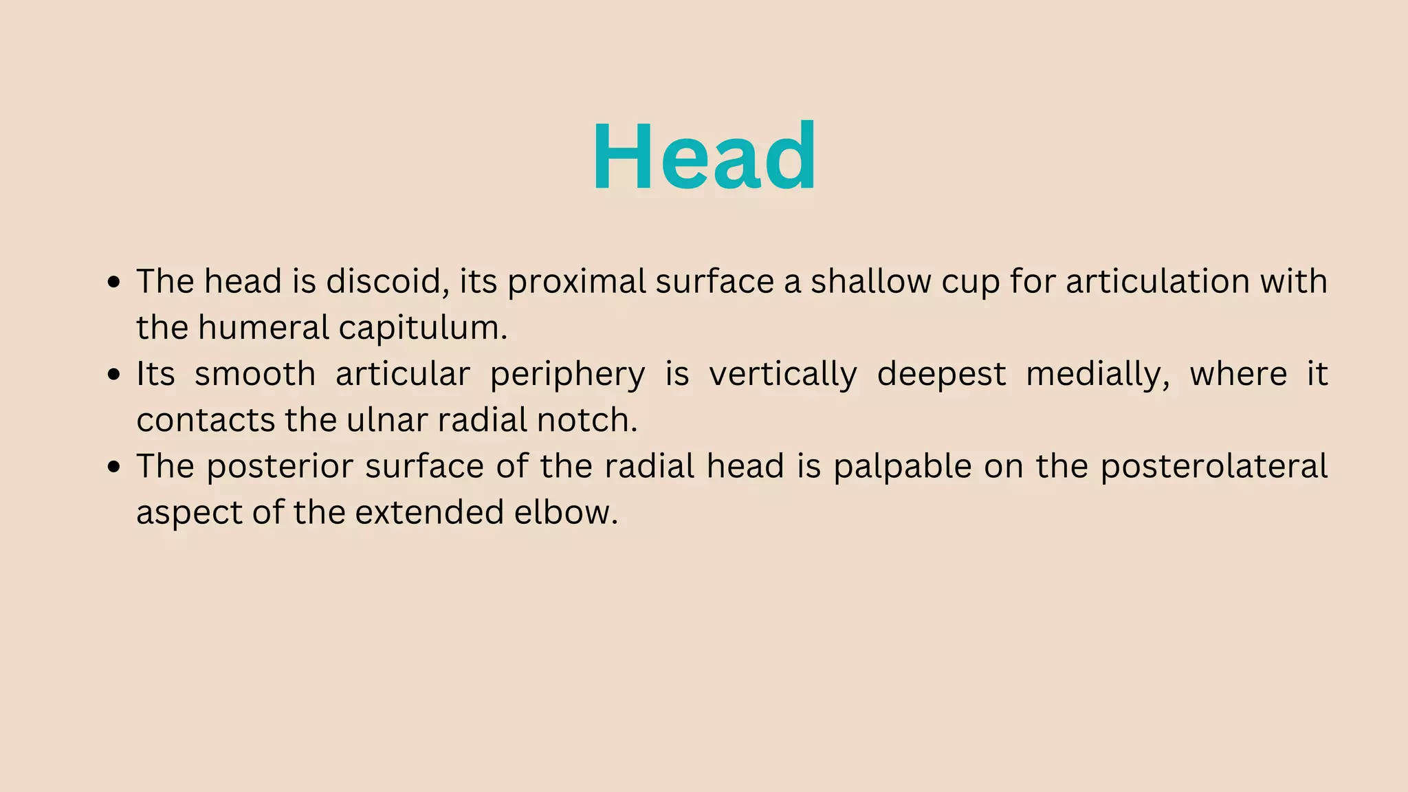 Anatomy SSS Demo Class (Elbow Bones).pdf