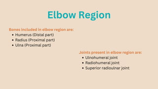 Anatomy SSS Demo Class (Elbow Bones).pdf