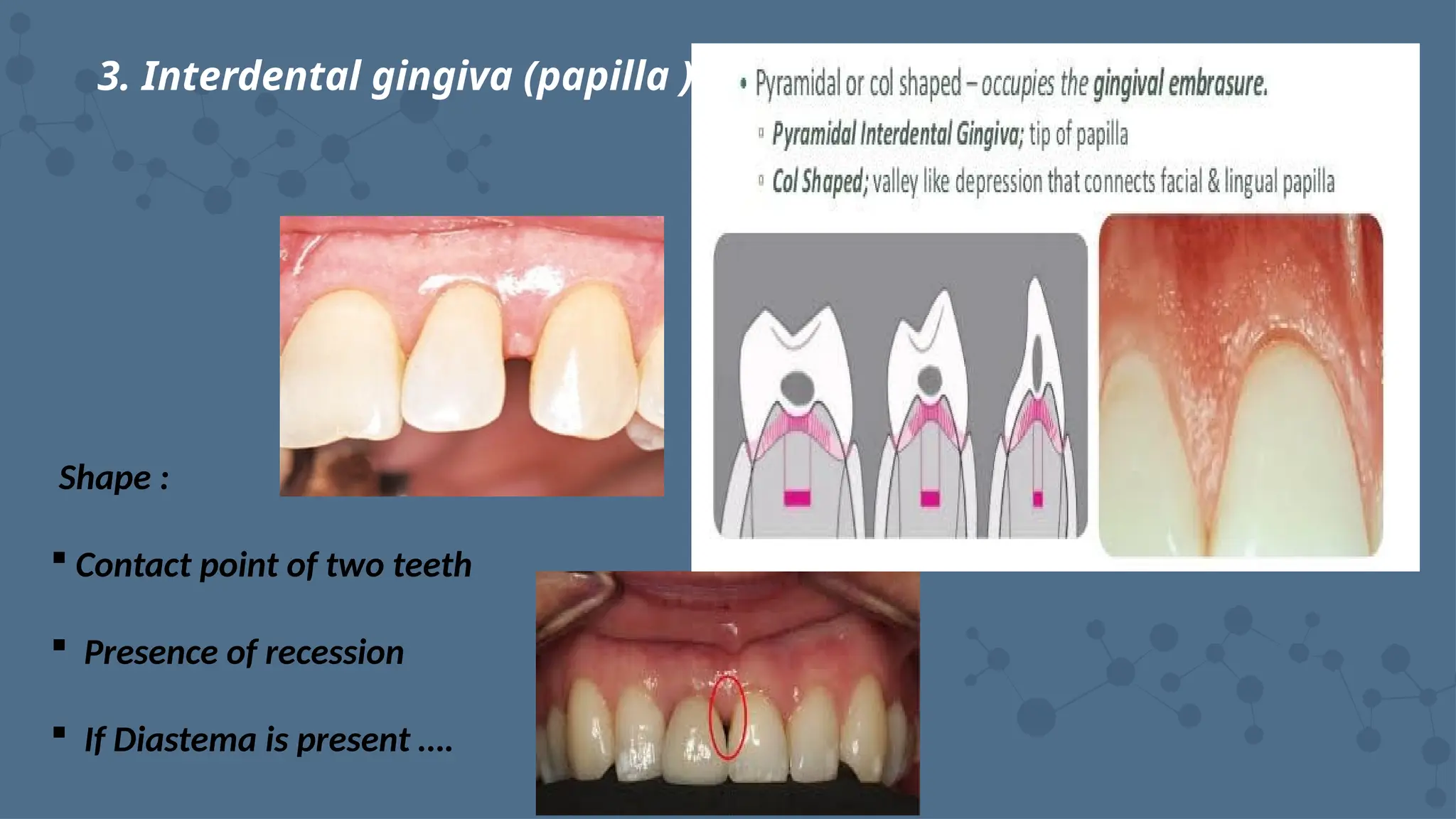 Anatomy ,structure & function of periodontium.pptx