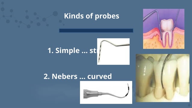 Anatomy ,structure & function of periodontium.pptx | Dental Health ...