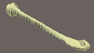 Anatomy Studio: a Tool for Virtual Dissection Through Augmented 3D ...