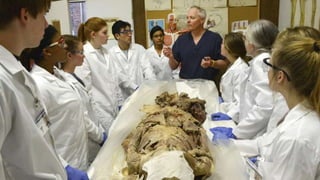 Anatomy Studio: a Tool for Virtual Dissection Through Augmented 3D ...