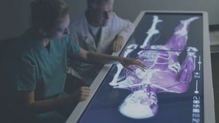 Anatomy Studio: a Tool for Virtual Dissection Through Augmented 3D ...