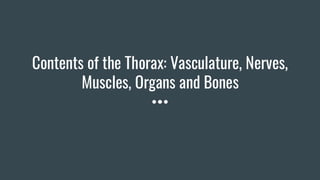 Anatomy Study Guide Upper Limb PA School | PDF