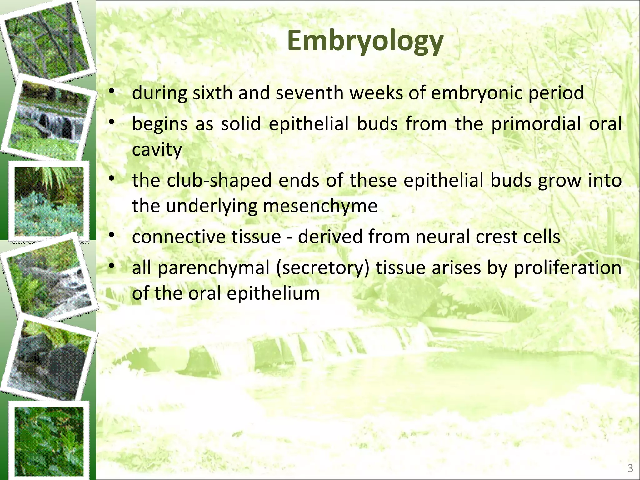 Anatomy of Submandibular Gland | PPT
