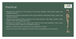 1st YEAR BHMS ANATOMY PAPER-1&2 PATTERNS | PDF