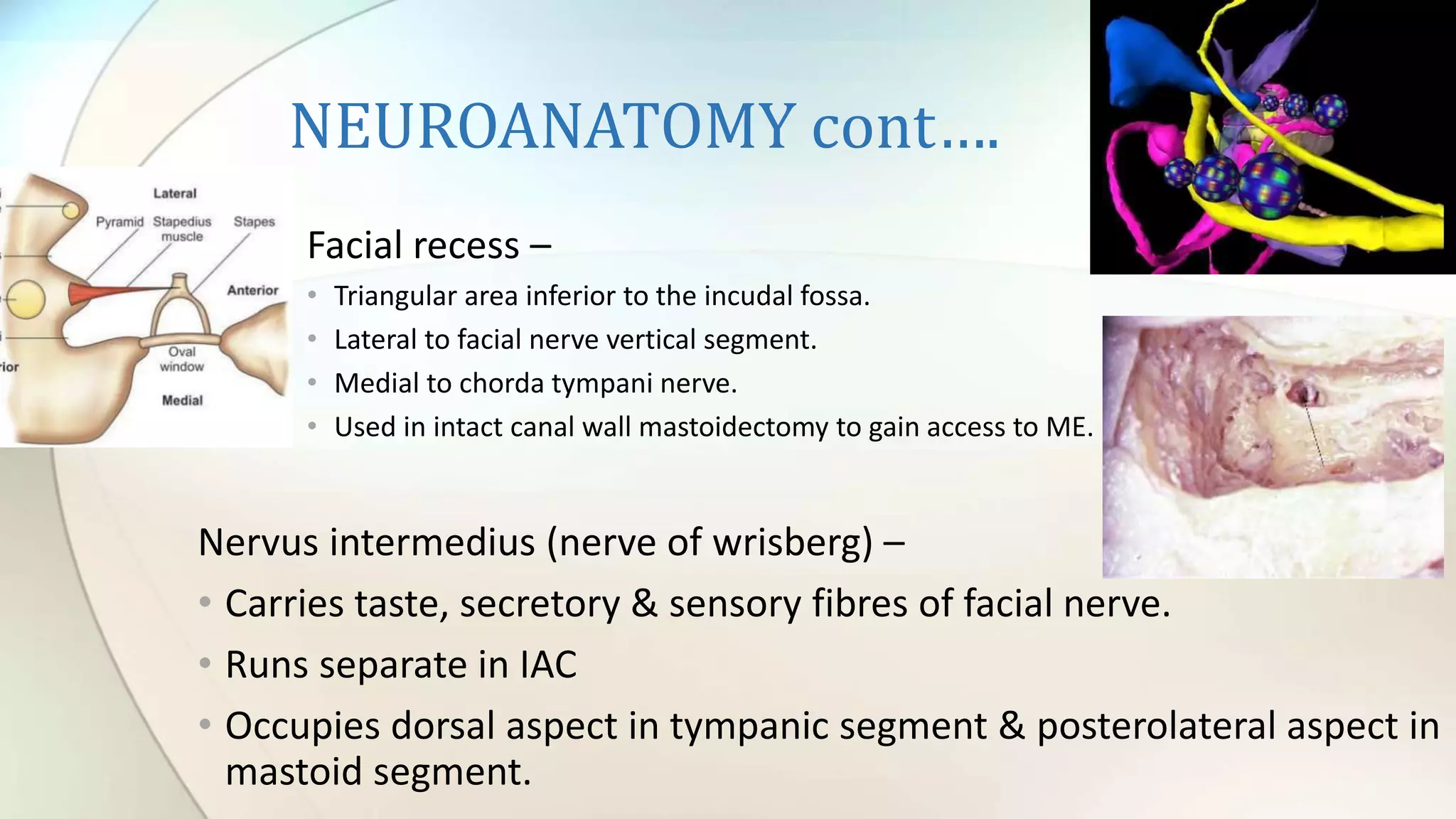 Anatomy temporal bone | PDF