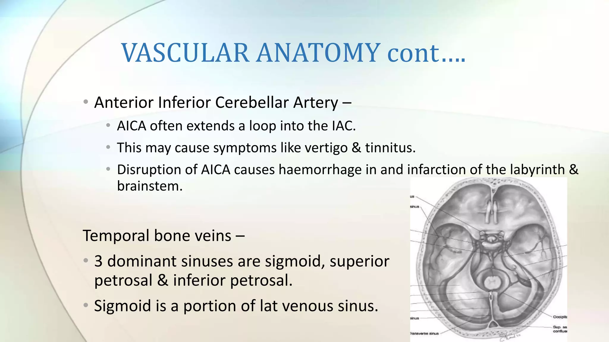 Anatomy temporal bone | PDF