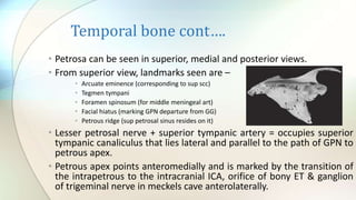 Anatomy temporal bone | PDF