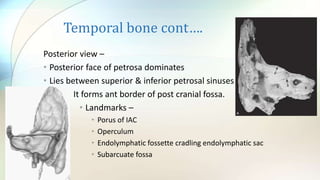 Anatomy temporal bone | PDF