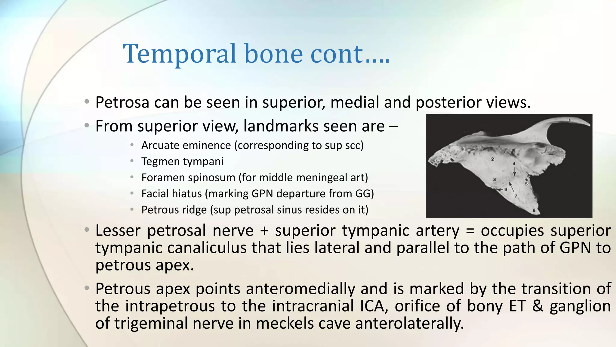 Anatomy of temporal bone | PPTX