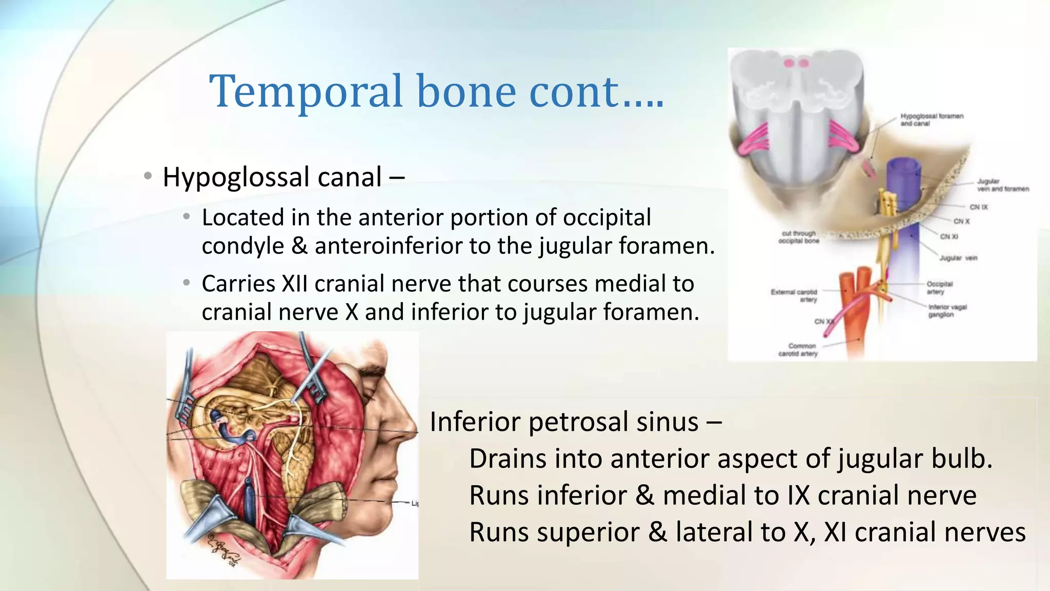 Anatomy of temporal bone | PPTX