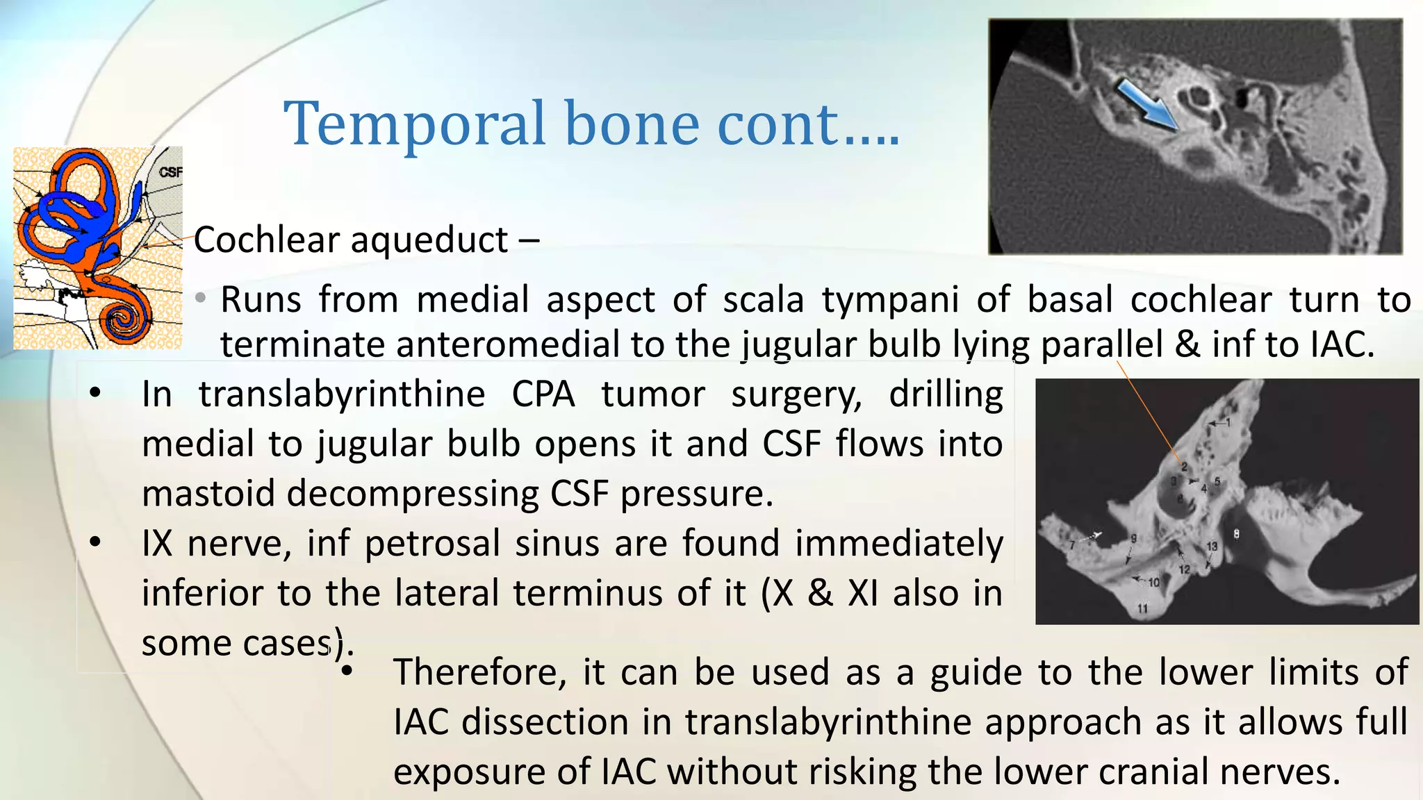 Anatomy of temporal bone | PPTX