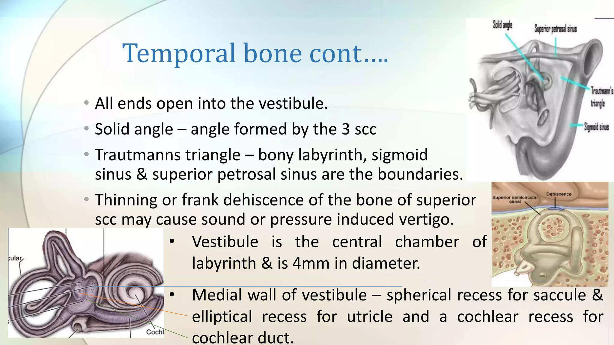 Anatomy of temporal bone | PPTX