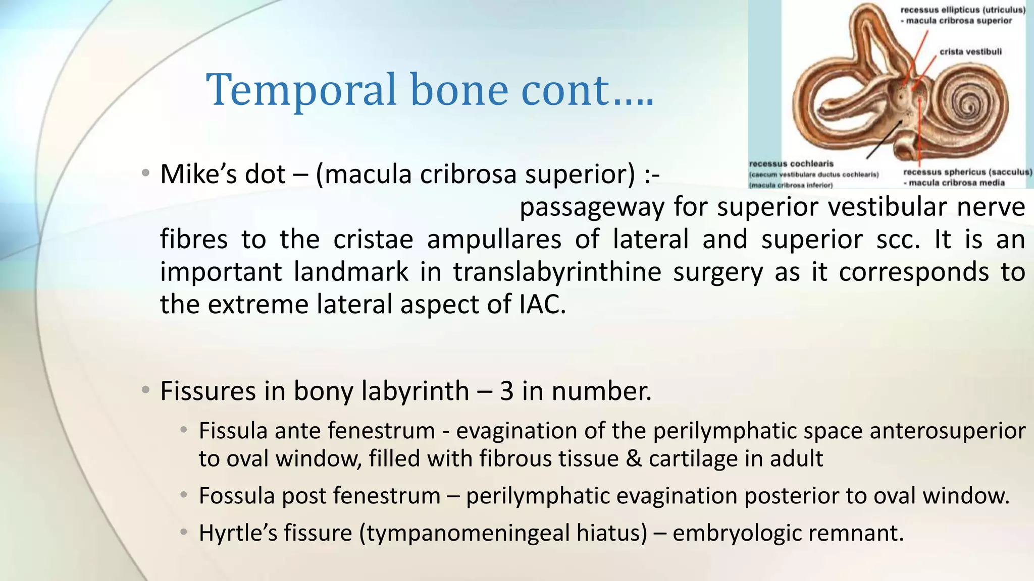 Anatomy of temporal bone | PPTX
