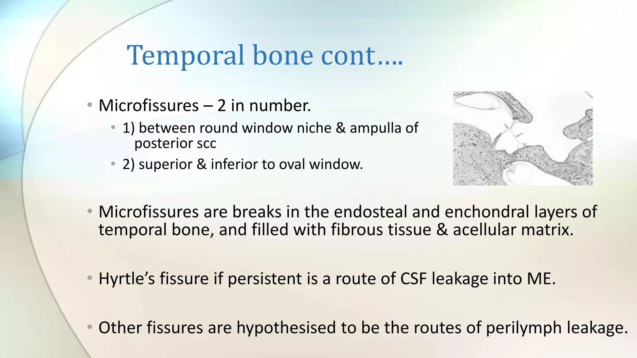 Anatomy of temporal bone | PPTX