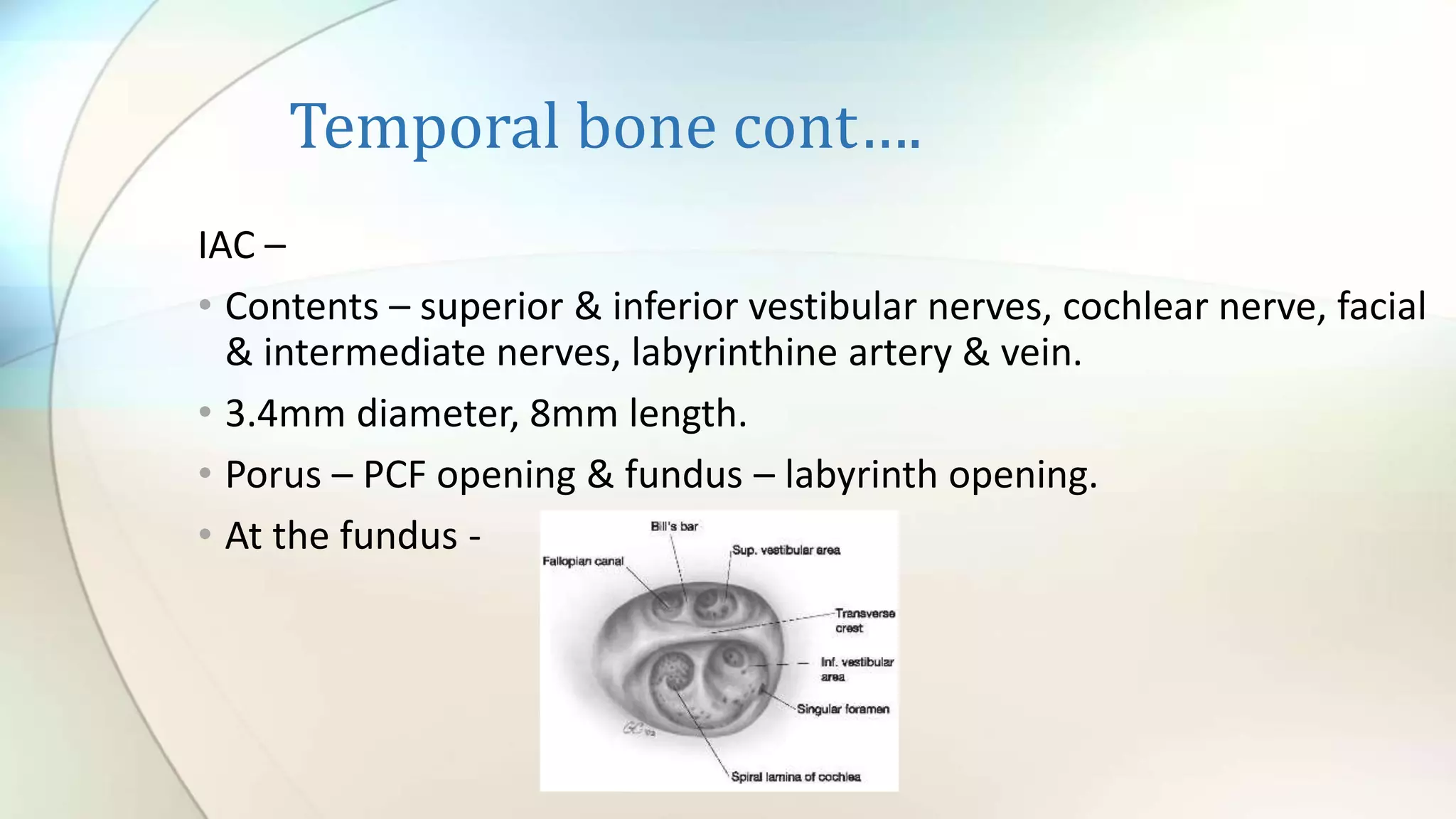 Anatomy of temporal bone | PPTX