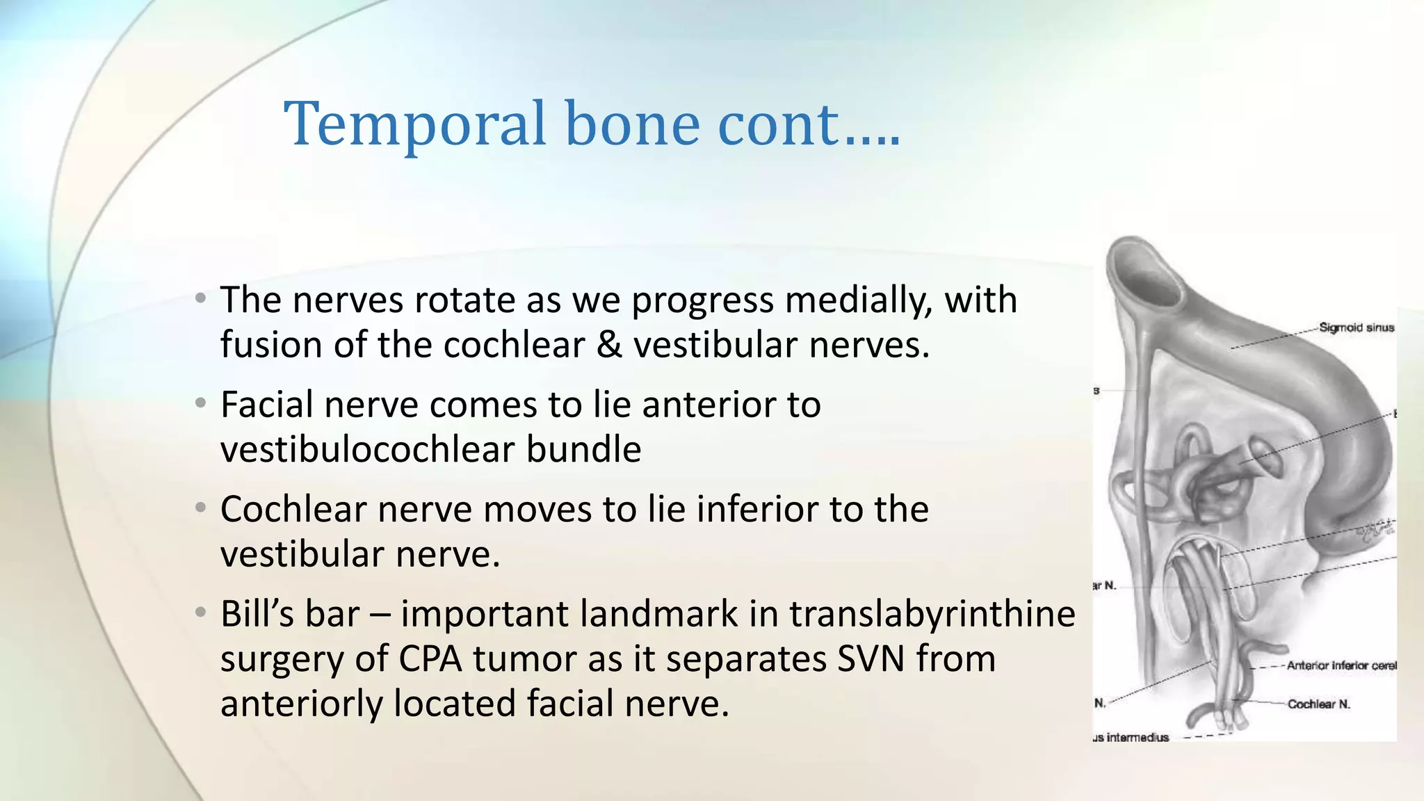 Anatomy of temporal bone | PPTX