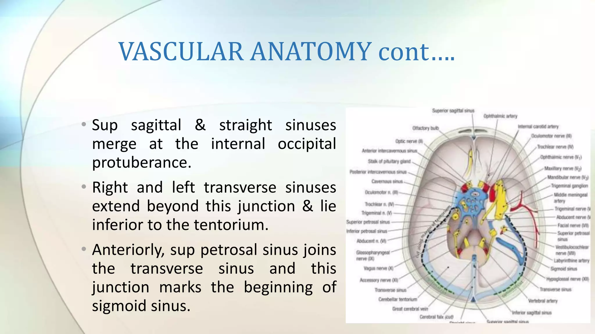 Anatomy of temporal bone | PPTX