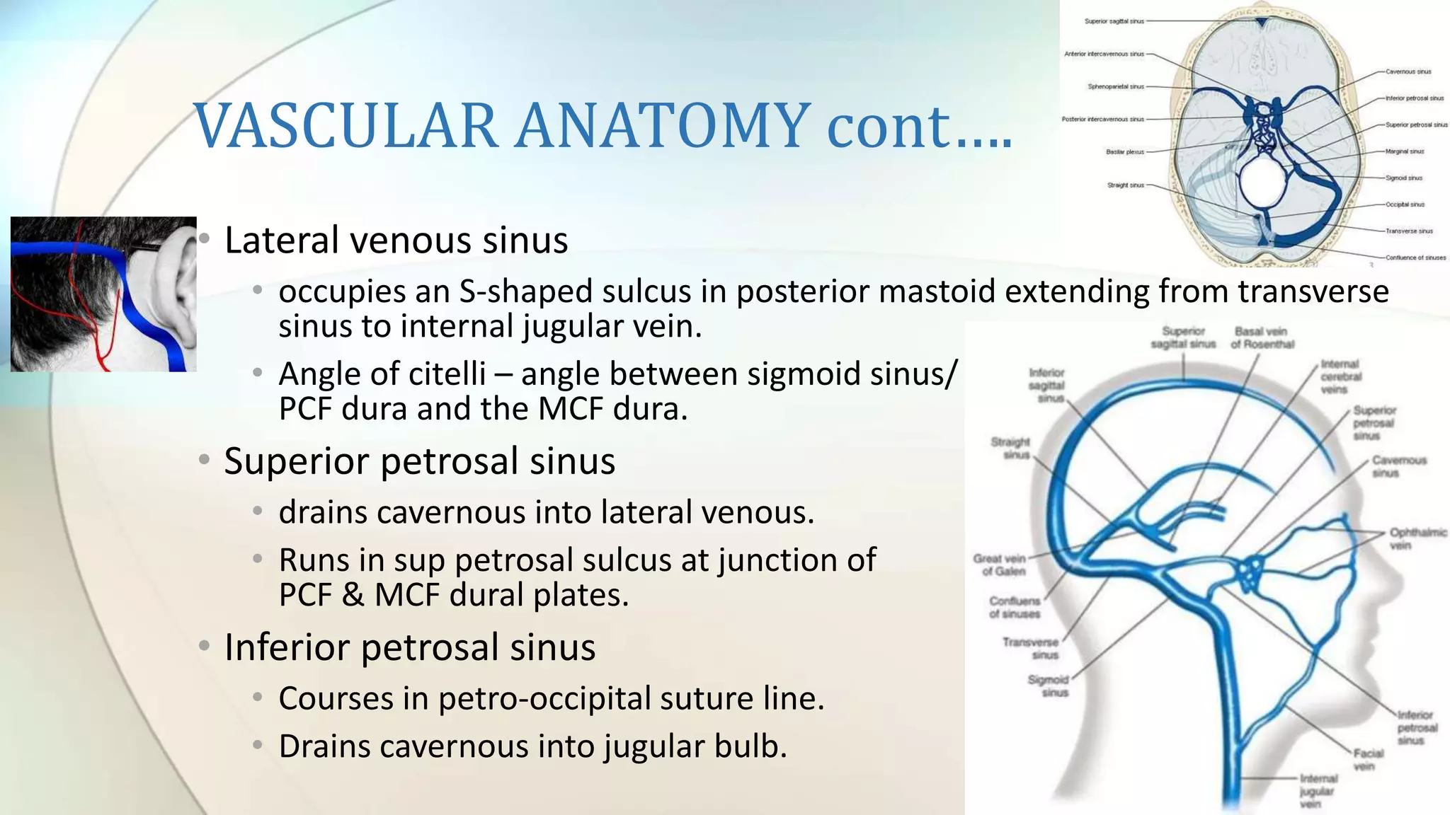 Anatomy of temporal bone | PPTX