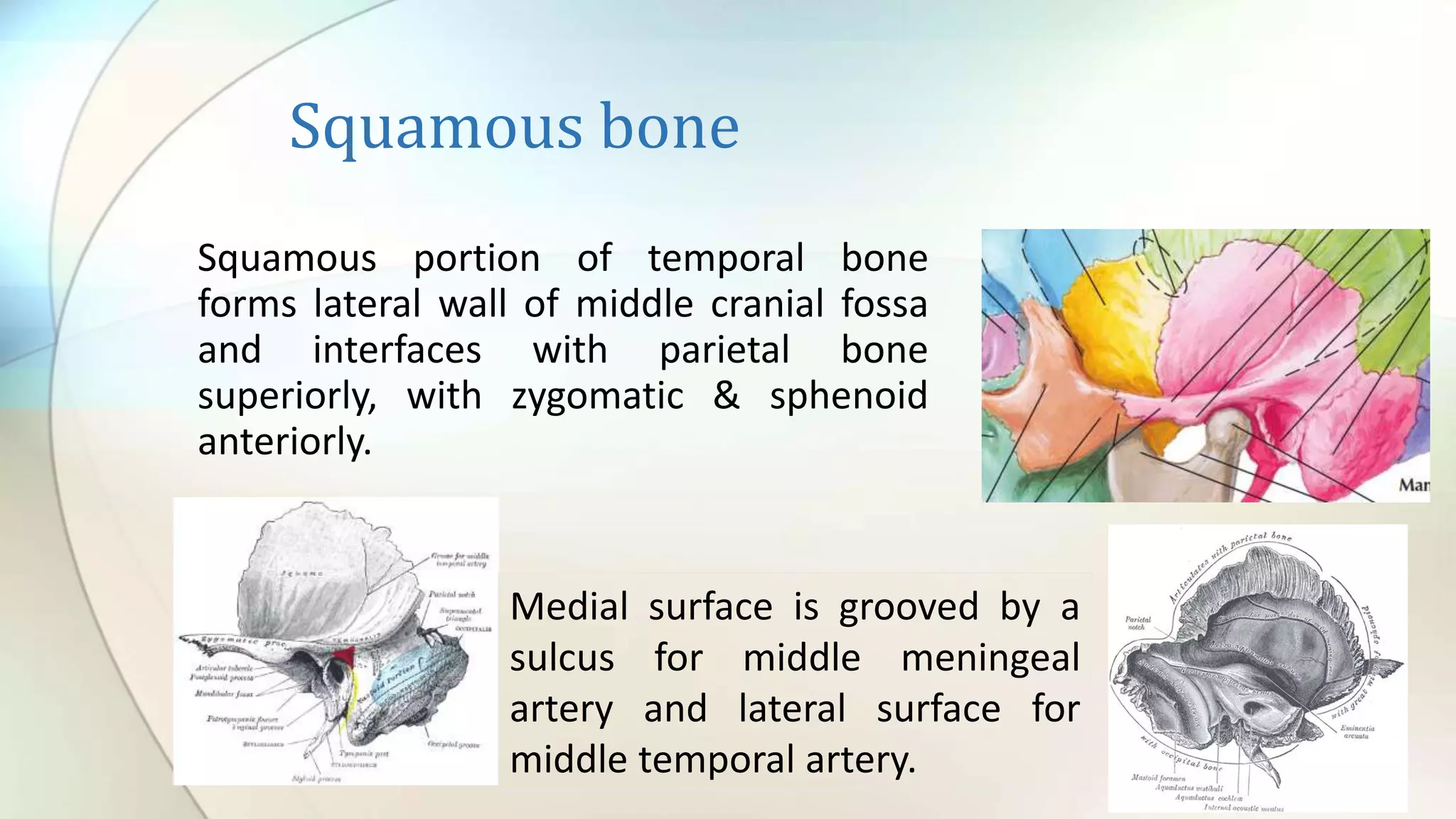 Anatomy of temporal bone | PPTX