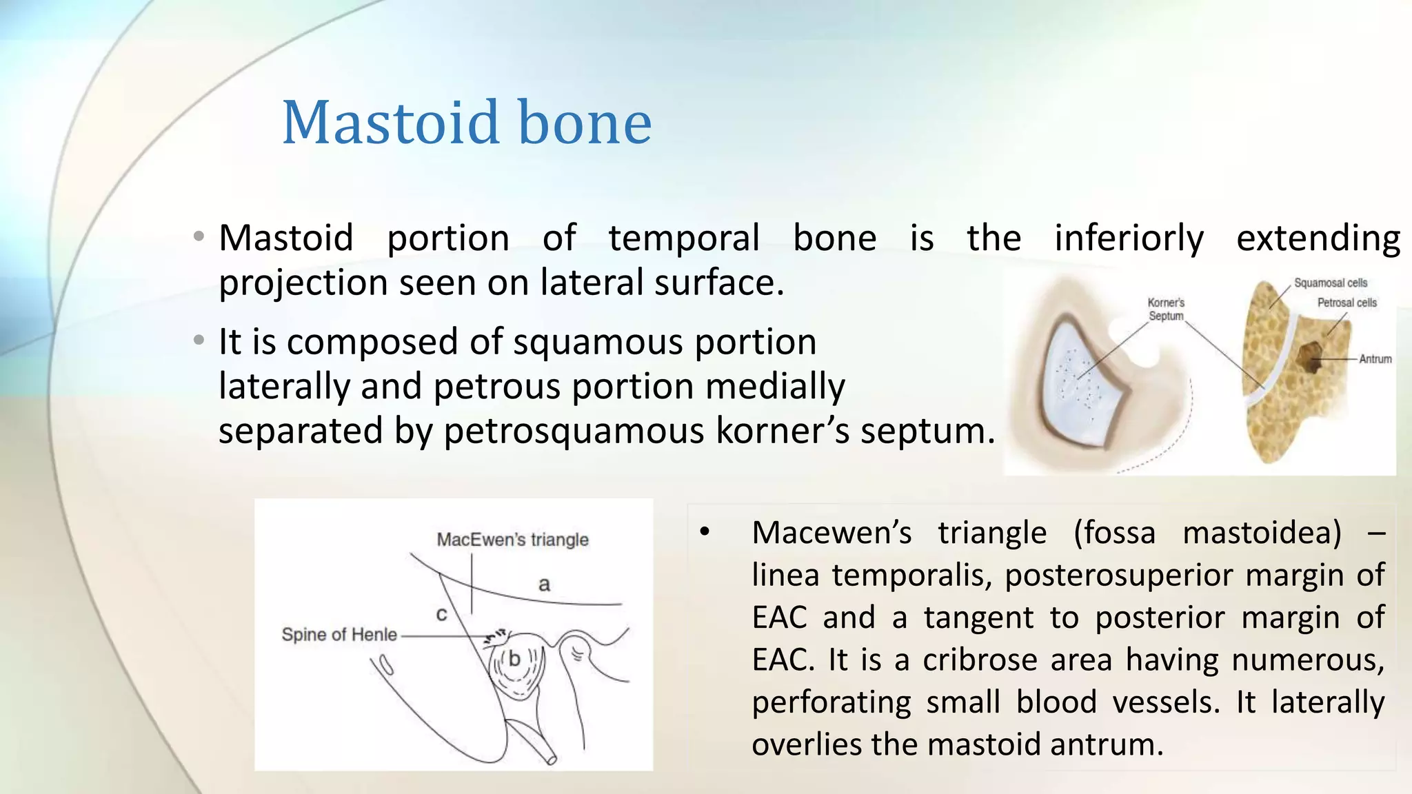 Anatomy of temporal bone | PPTX