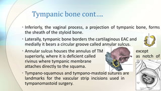 Anatomy of temporal bone | PPTX