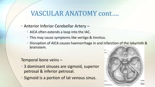 Anatomy of temporal bone | PPTX