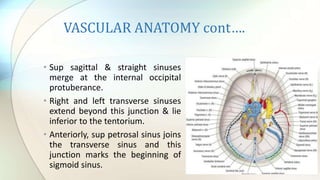 Anatomy of temporal bone | PPTX