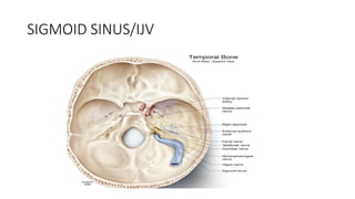 Anatomy temporal bone | PPTX