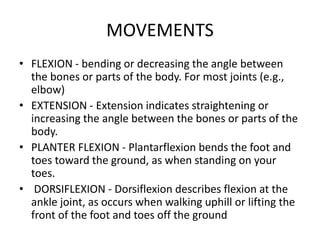 Anatomy terminologies | PPTX