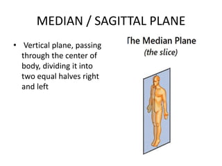 Anatomy terminologies | PPTX