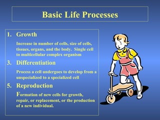 Anatomy terminology | PPT
