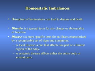 Anatomy terminology | PPT