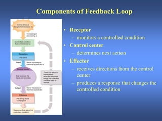 Aterminology.ppt
