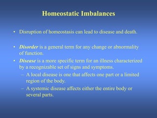Aterminology.ppt | Endocrine and Metabolic Diseases | Diseases and ...
