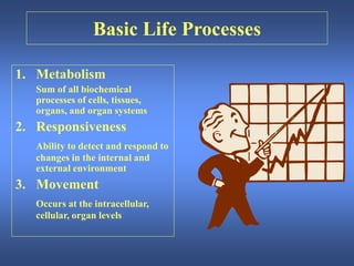 Aterminology.ppt
