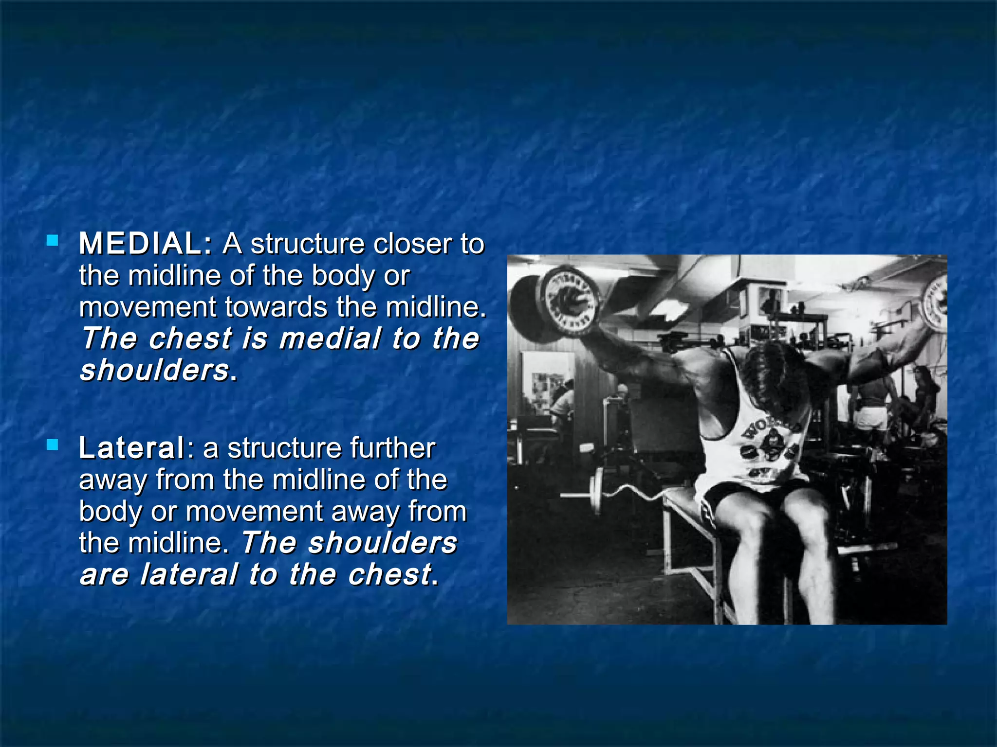 Anatomy terms & skeletal system | PPT