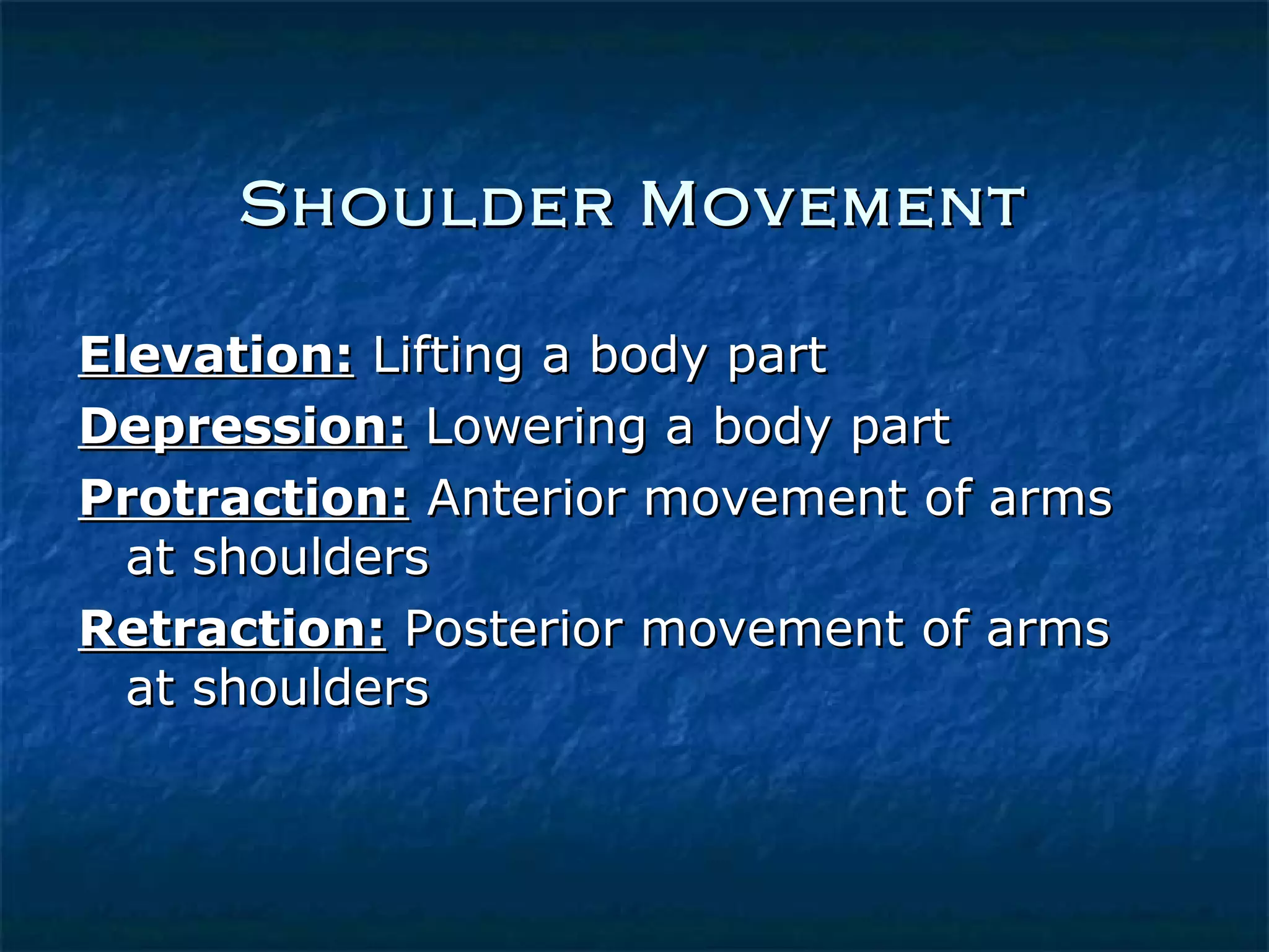 Anatomy terms & skeletal system | PPT