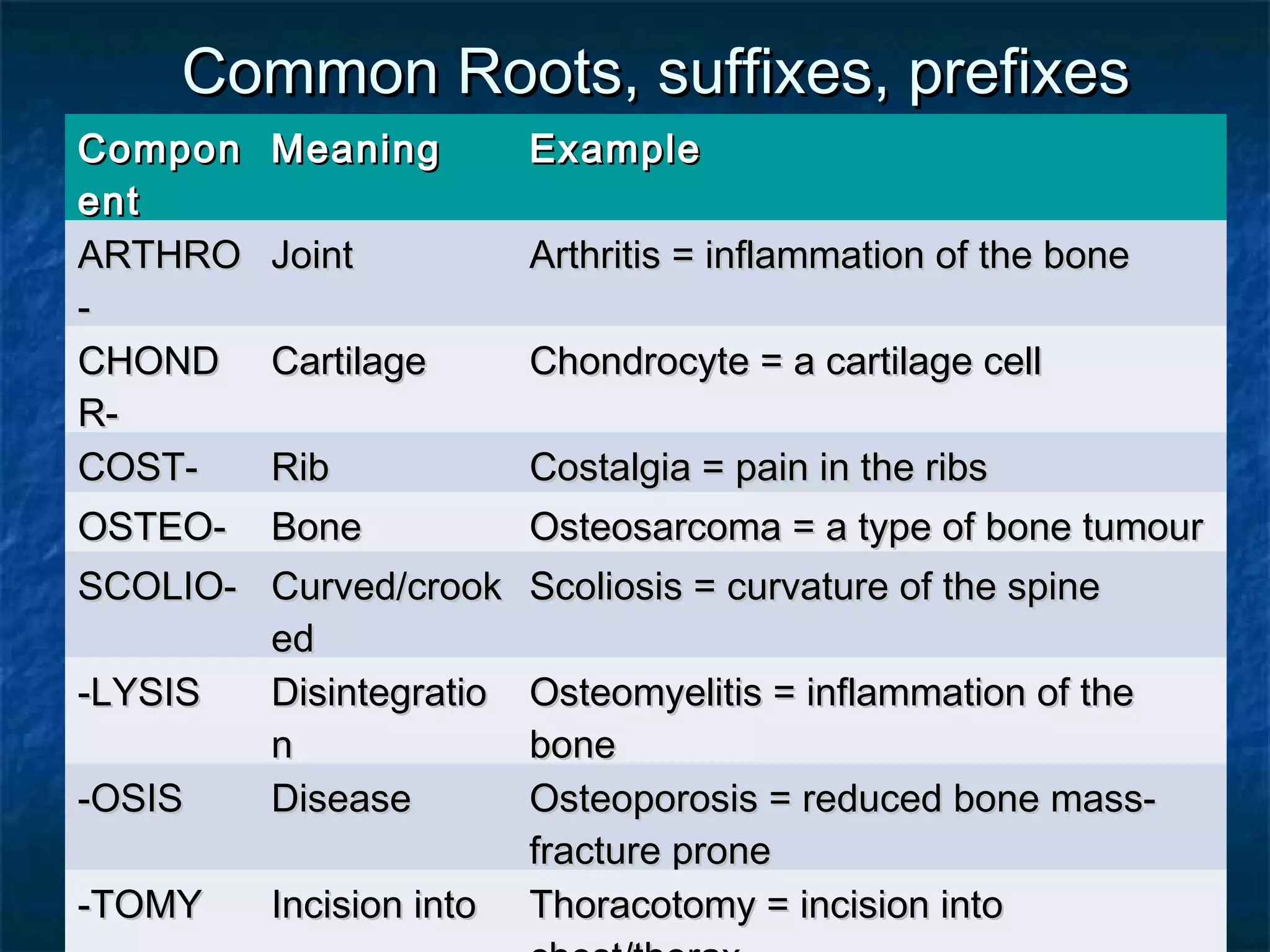 Anatomy terms & skeletal system | PPT